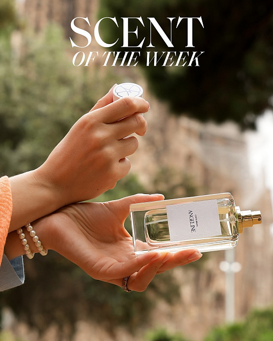 Angeline Fragrances | Explore Our Selective Perfume Range | Official ...